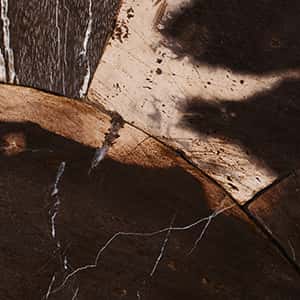 Coffee Tables | Unique Wood Coffee Tables | Arhaus